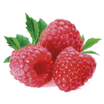 Nosotros - Heladerías Tutto Freddo S.A.